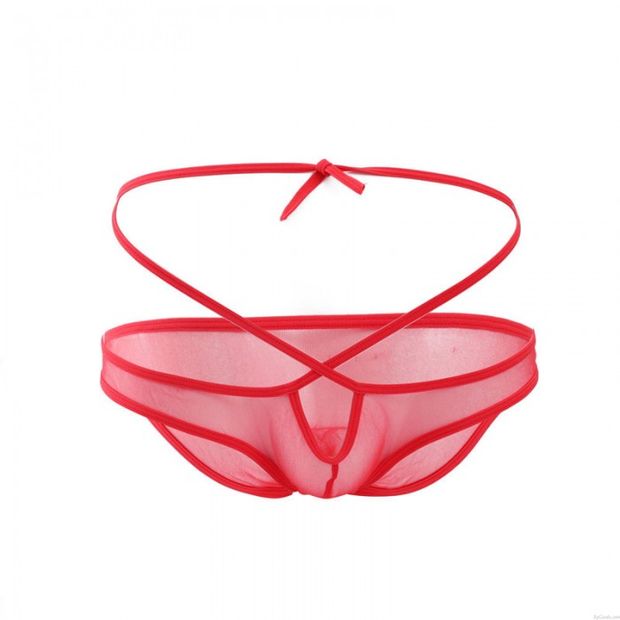 Sexy Croix Croisée Slip élastique En Maille Lilywendy
