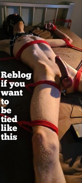 Cock Bound And Thighs Secured And Ready To Be Freewind