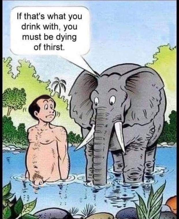 An Elephant And A Naked Man Comparing Hoses Elliscee