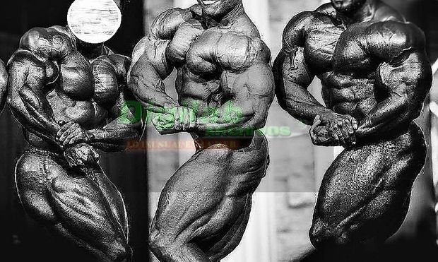 Hombres Con Cuerpos Enormes Bellos Fantasia Mocomania