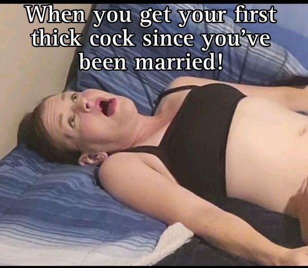 Naughty Memes Catwnts269