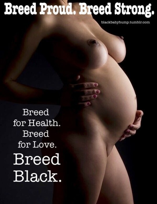 A Beautiful Advertisement In The Bnwo Xxxcaliber1