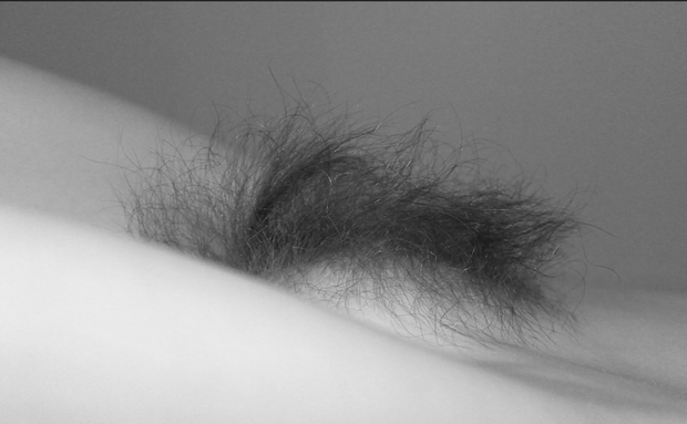 Furry Pussy Mannybim4all