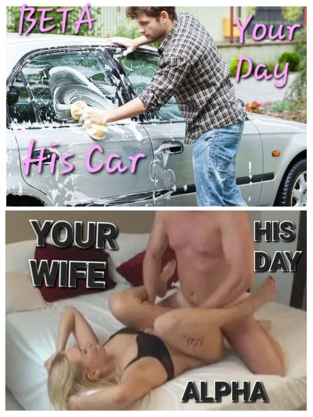 Alpha Vs Beta Alpha Sleeps With My Wife While I Morg0810