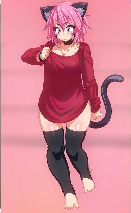 Cat Gall Pink Hair Nia From Kemonokko Tsuushin Hot Dirak