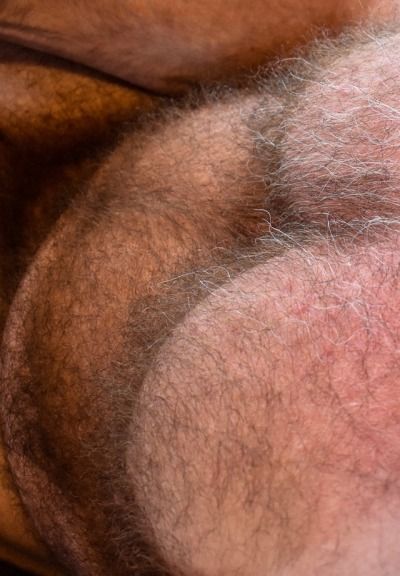 Hairy Chest Sweetrye