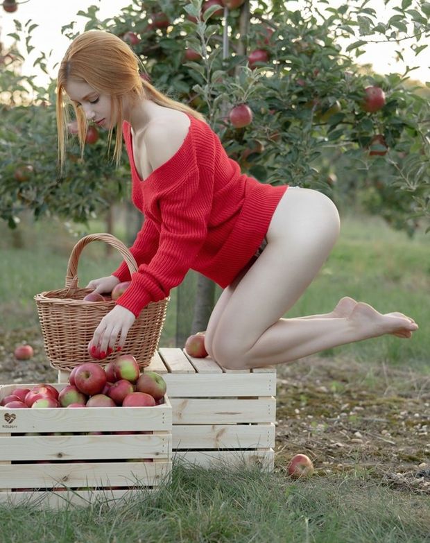 Sweet And Curvy Apples I Mean Pornmorne