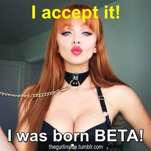 Beta Slut Knonameme
