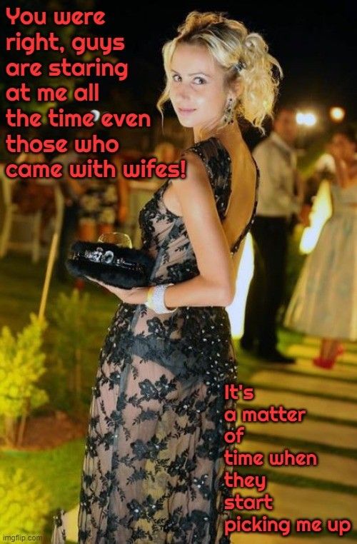 Sheer Party Dress Handyguy69